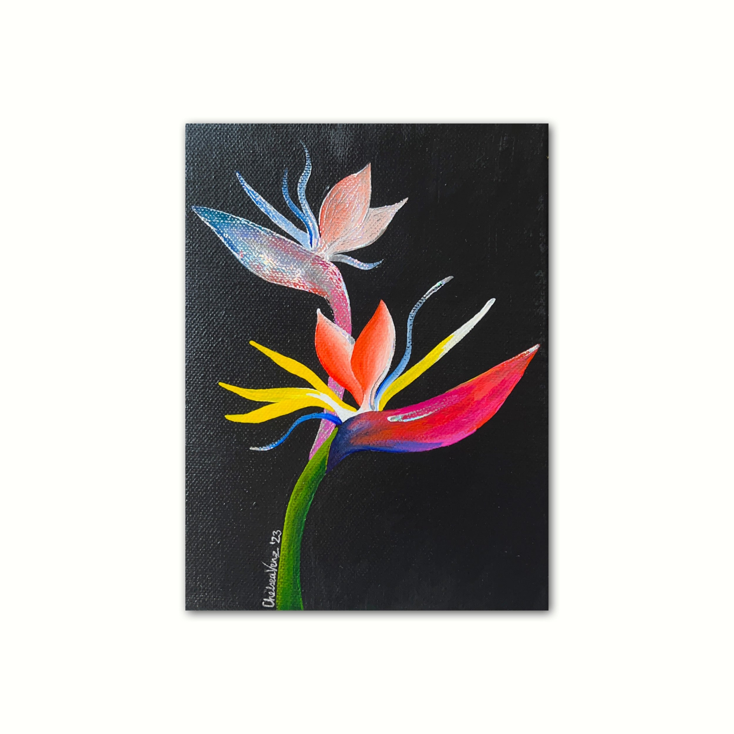 ‘Mini Eccentric Birds of Paradise’ – cvartcolours