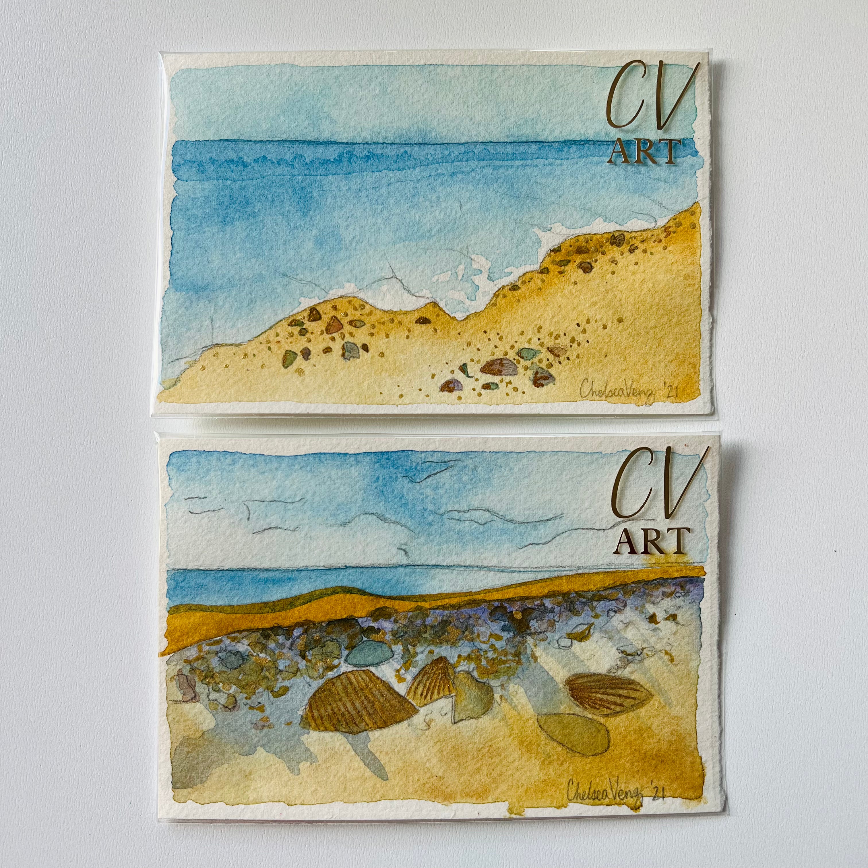 'Shelly Beaches' – cvartcolours